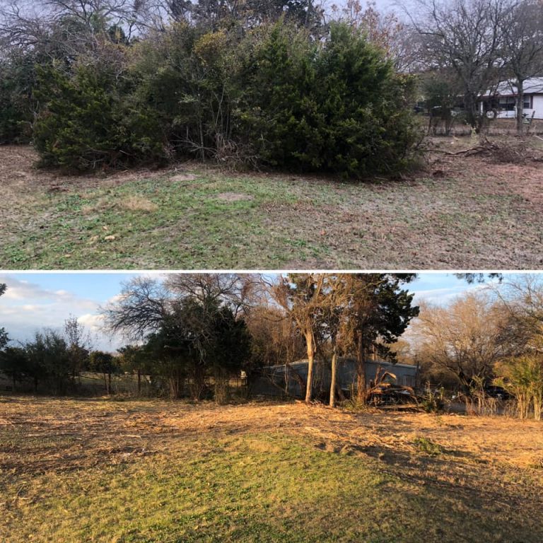 Why Underbrushing is a Better Option Than Clearing an Entire Area ...